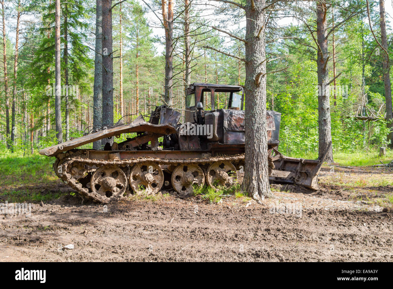 Skidder hi-res stock photography and images - Alamy