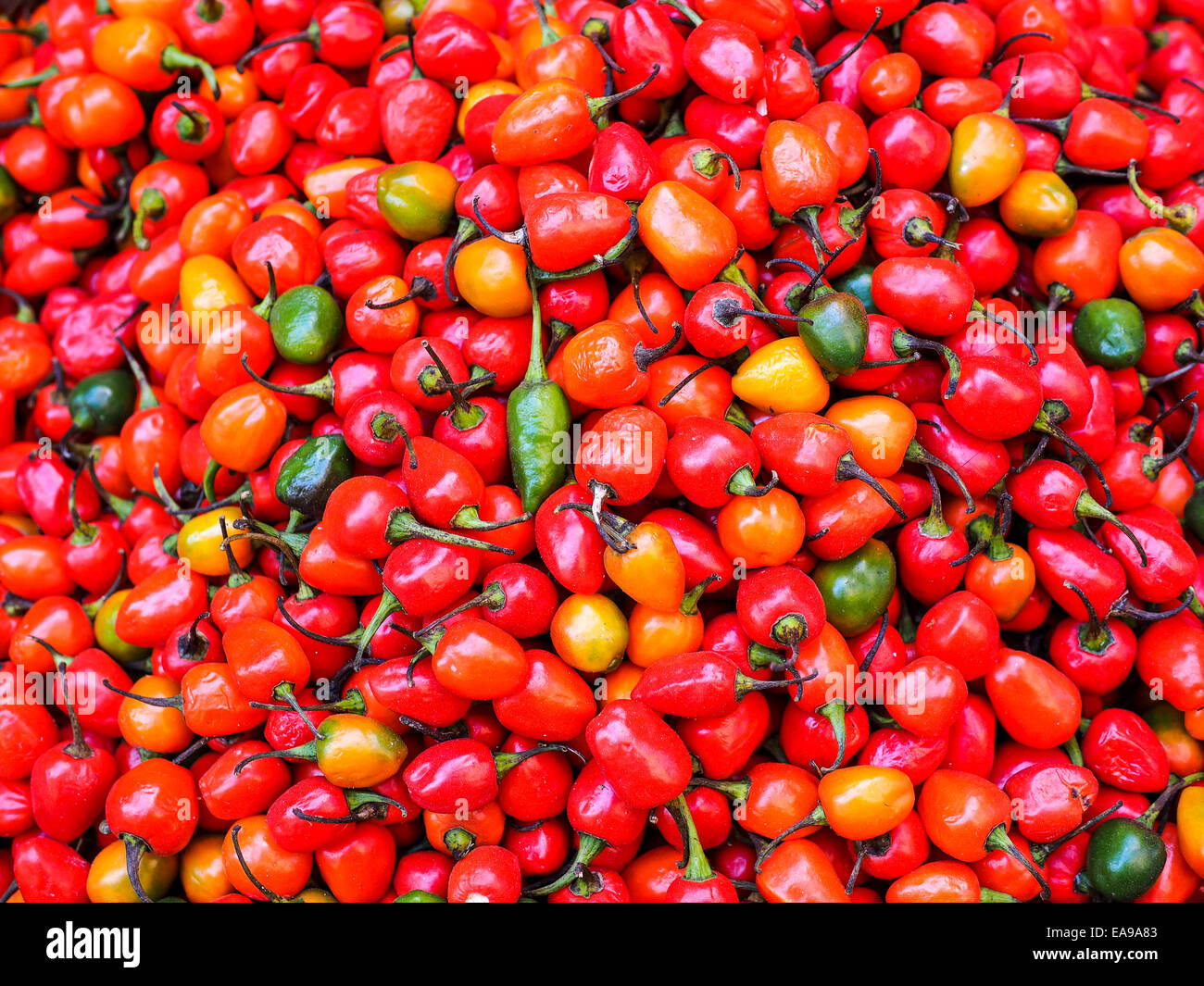 Close up of fresh chilli, food ingredient Stock Photo - Alamy