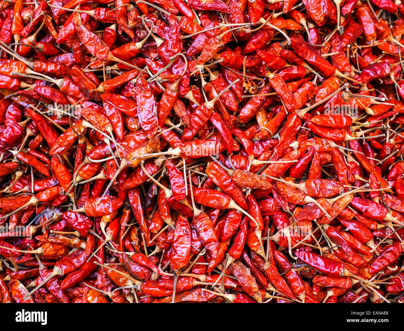 Close up of sun-dried chilli, food ingredient Stock Photo - Alamy