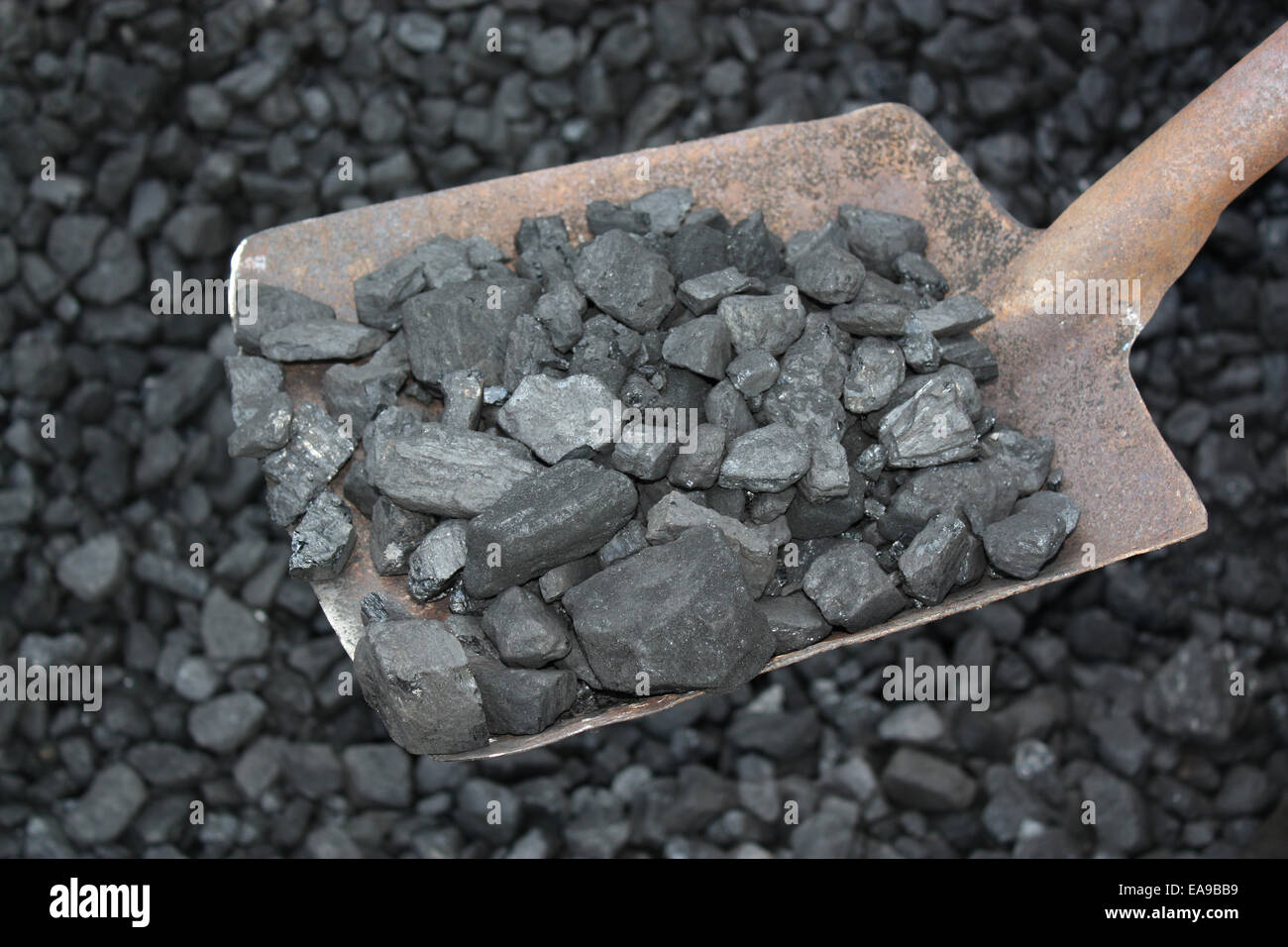 Loading shovel coal in the mine Stock Photo - Alamy