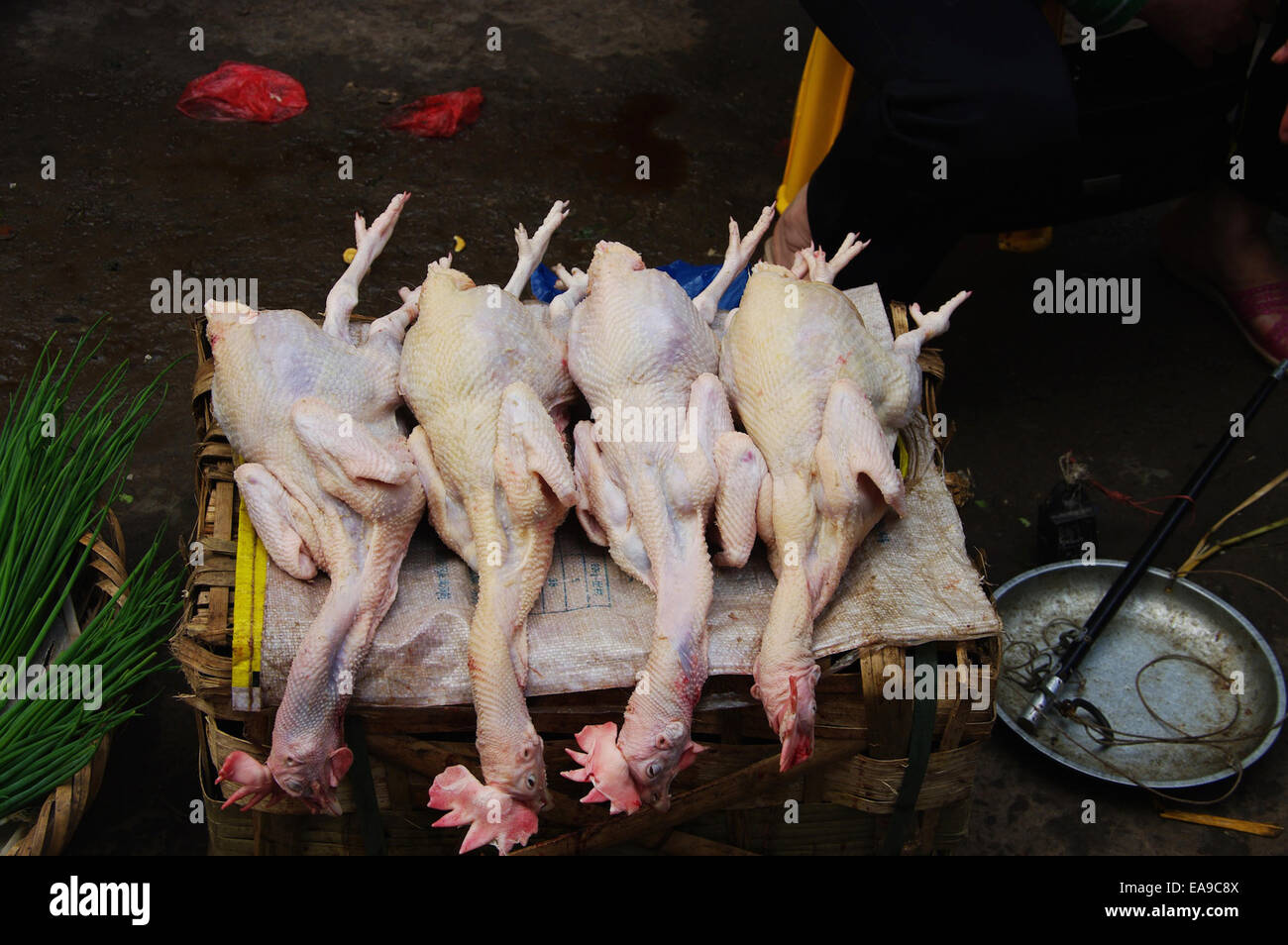 Roosters hi-res stock photography and images - Alamy