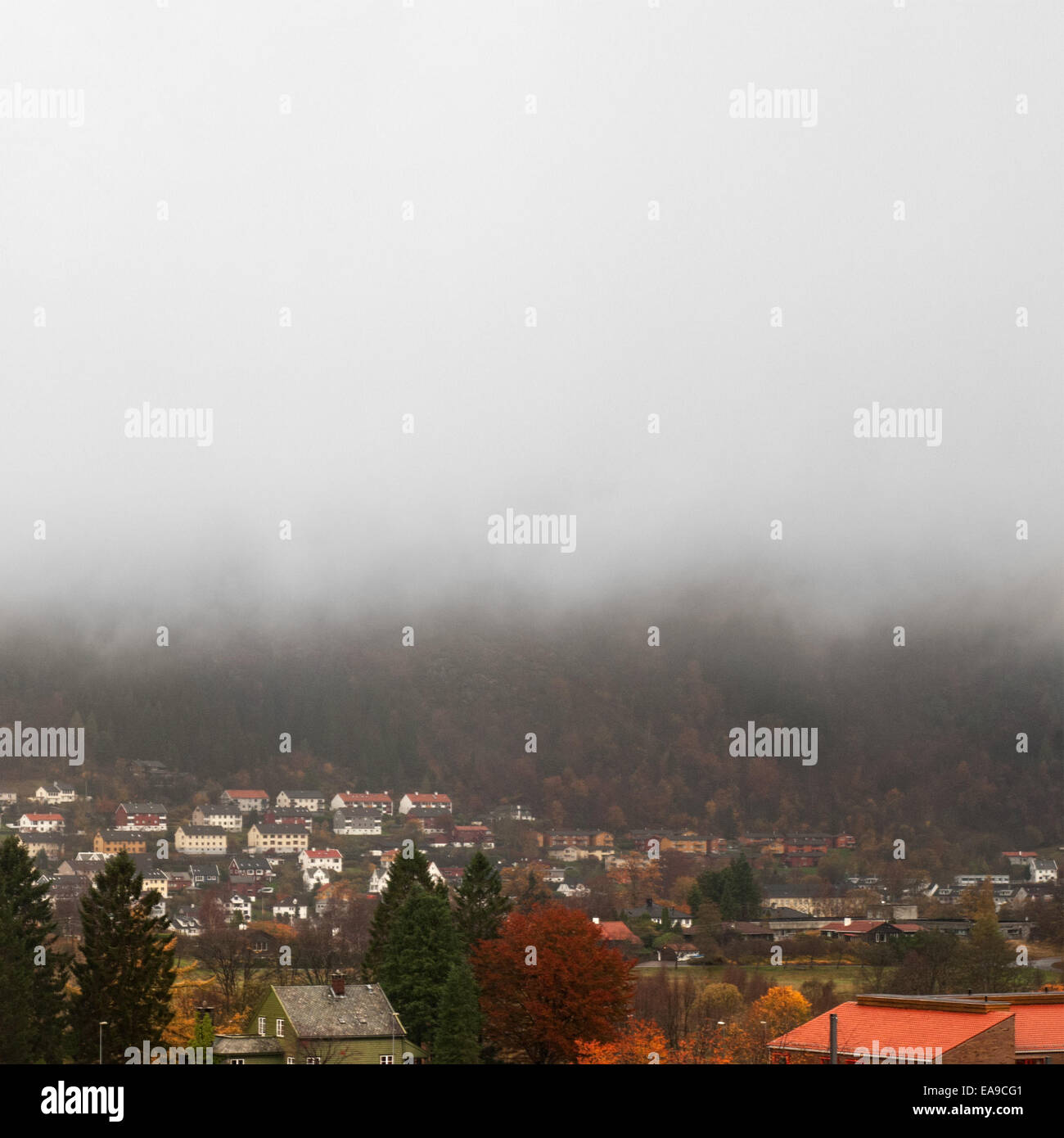 Colorful autumn in Bergen, Norway Stock Photo - Alamy