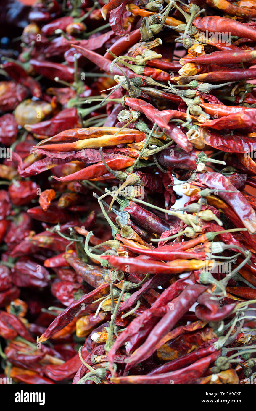 African chilli hi-res stock photography and images - Alamy