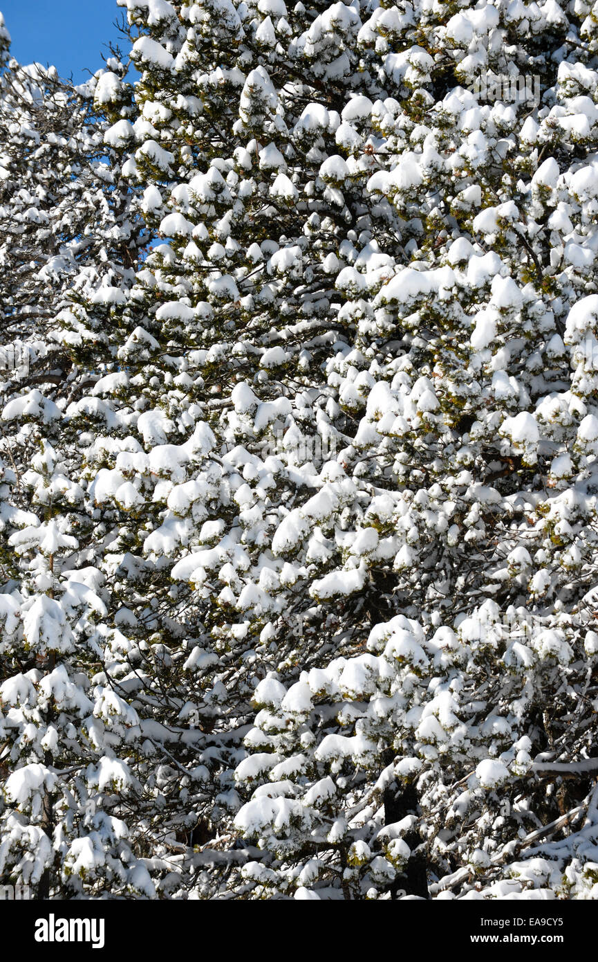 Puff snow hi-res stock photography and images - Alamy