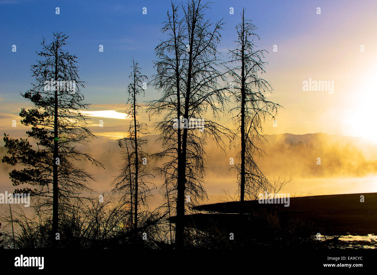 Yellowstone madison hi-res stock photography and images - Alamy