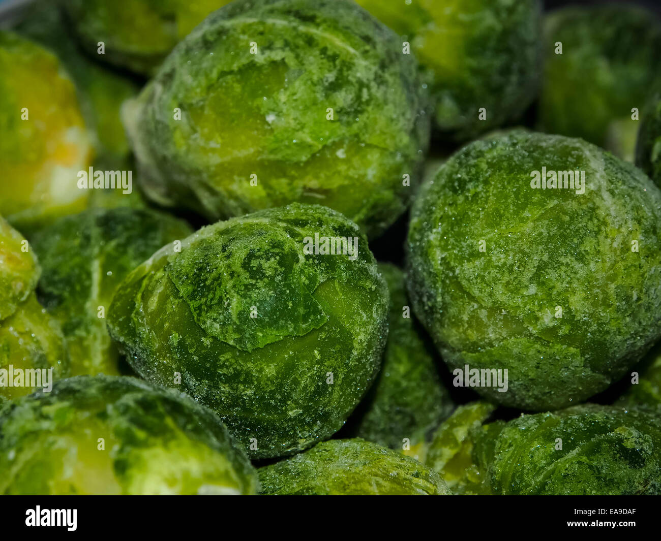 Frozen sprouts hi-res stock photography and images - Alamy