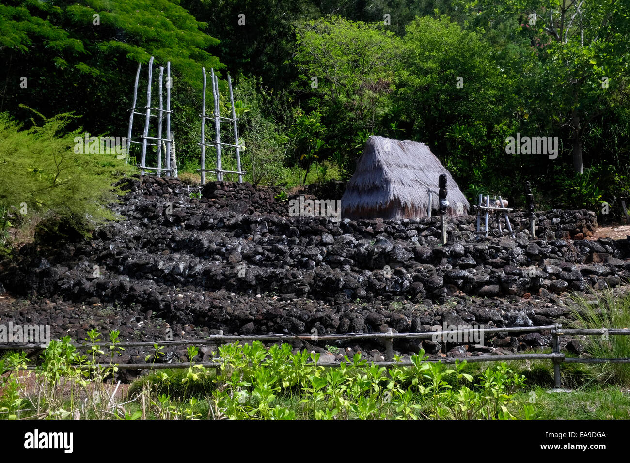 Hawaiian Temple on the North Shore of Oahu, Hawaii Stock Photo - Alamy