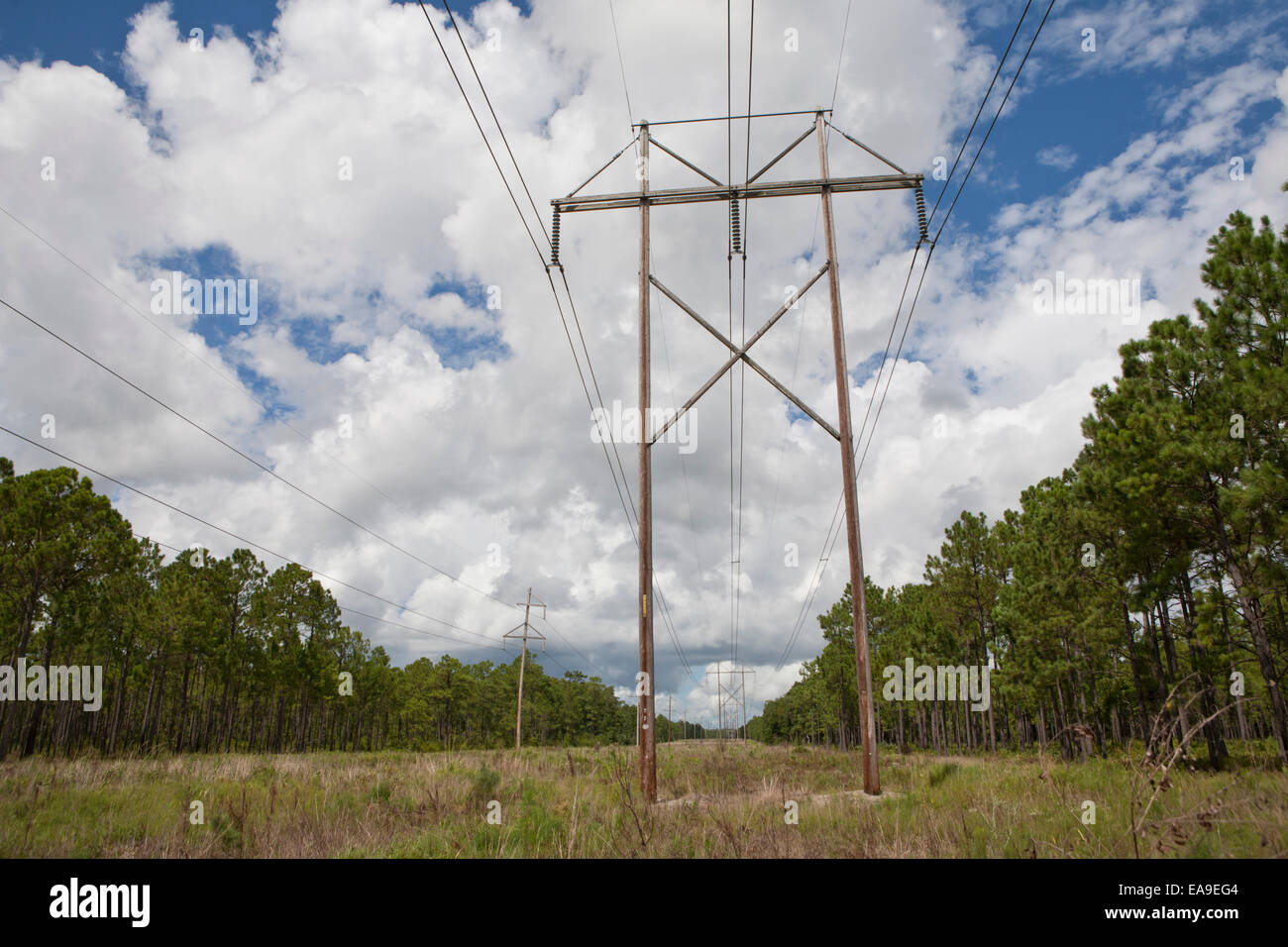 Powerline utility hi-res stock photography and images - Alamy