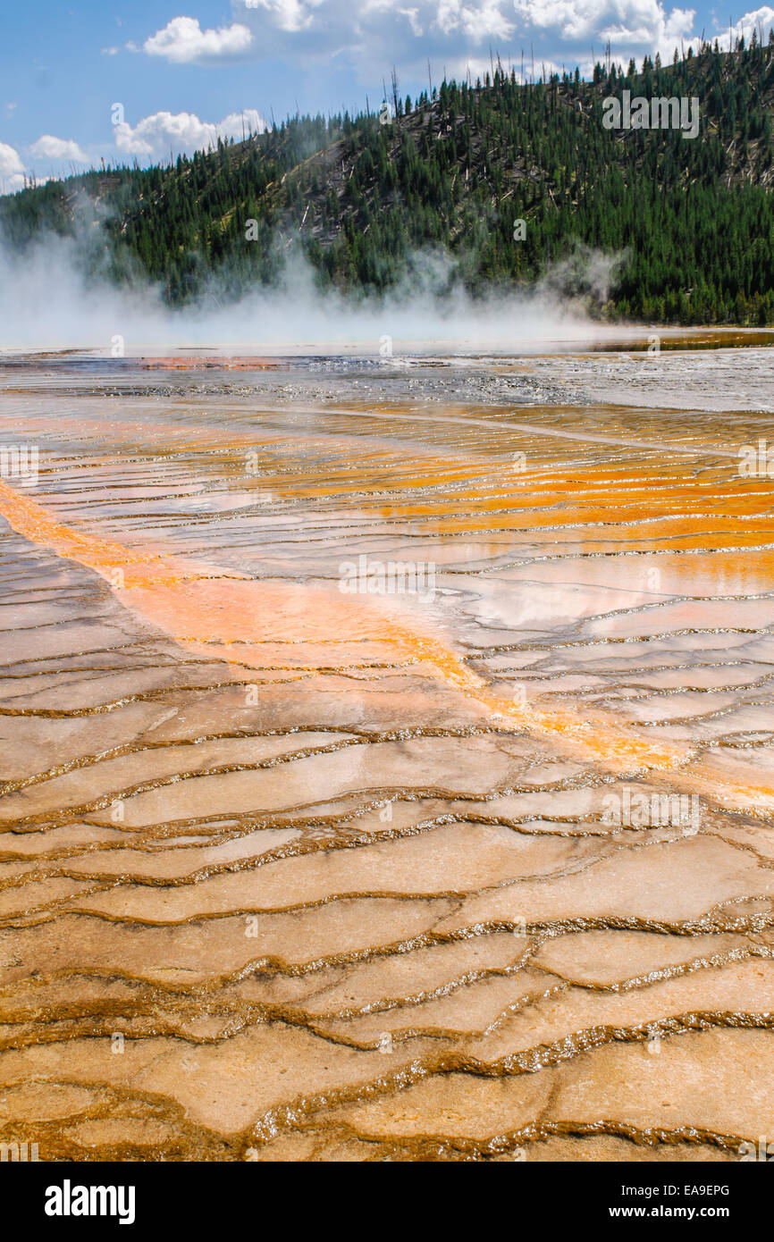 Scenic Landscapes of Geothermal activity of Yellowstone National Park ...