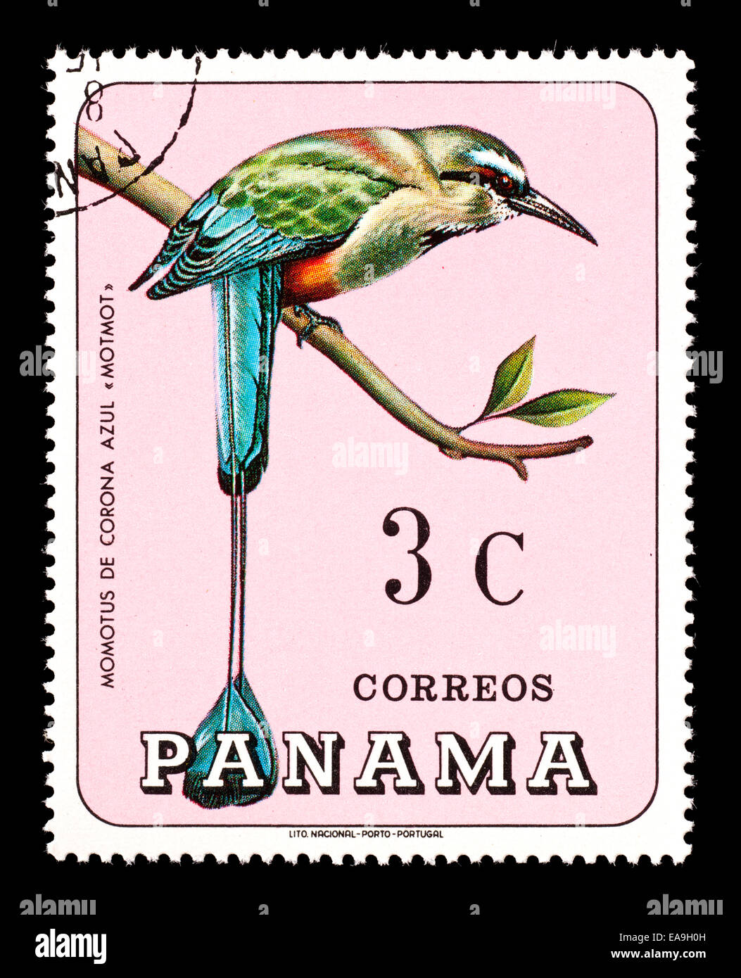 Postage stamp from Panama depicting a blue-crowned motmot (Momotus ...