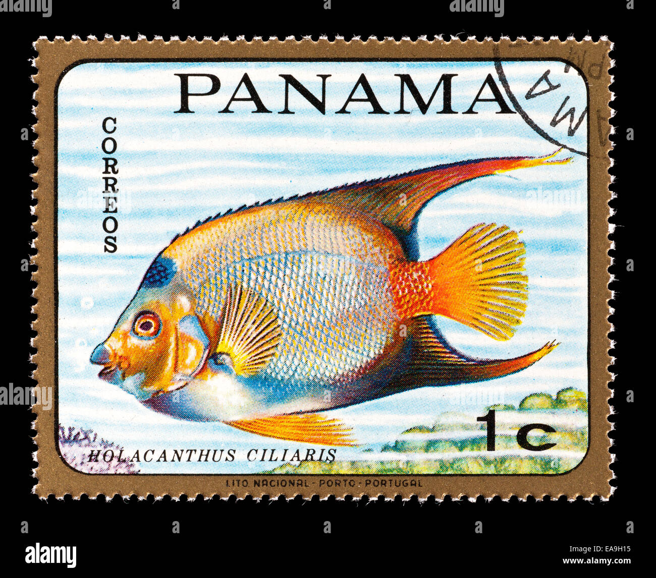 Postage stamp from Panama depicting queen angelfish (Holacanthus ...