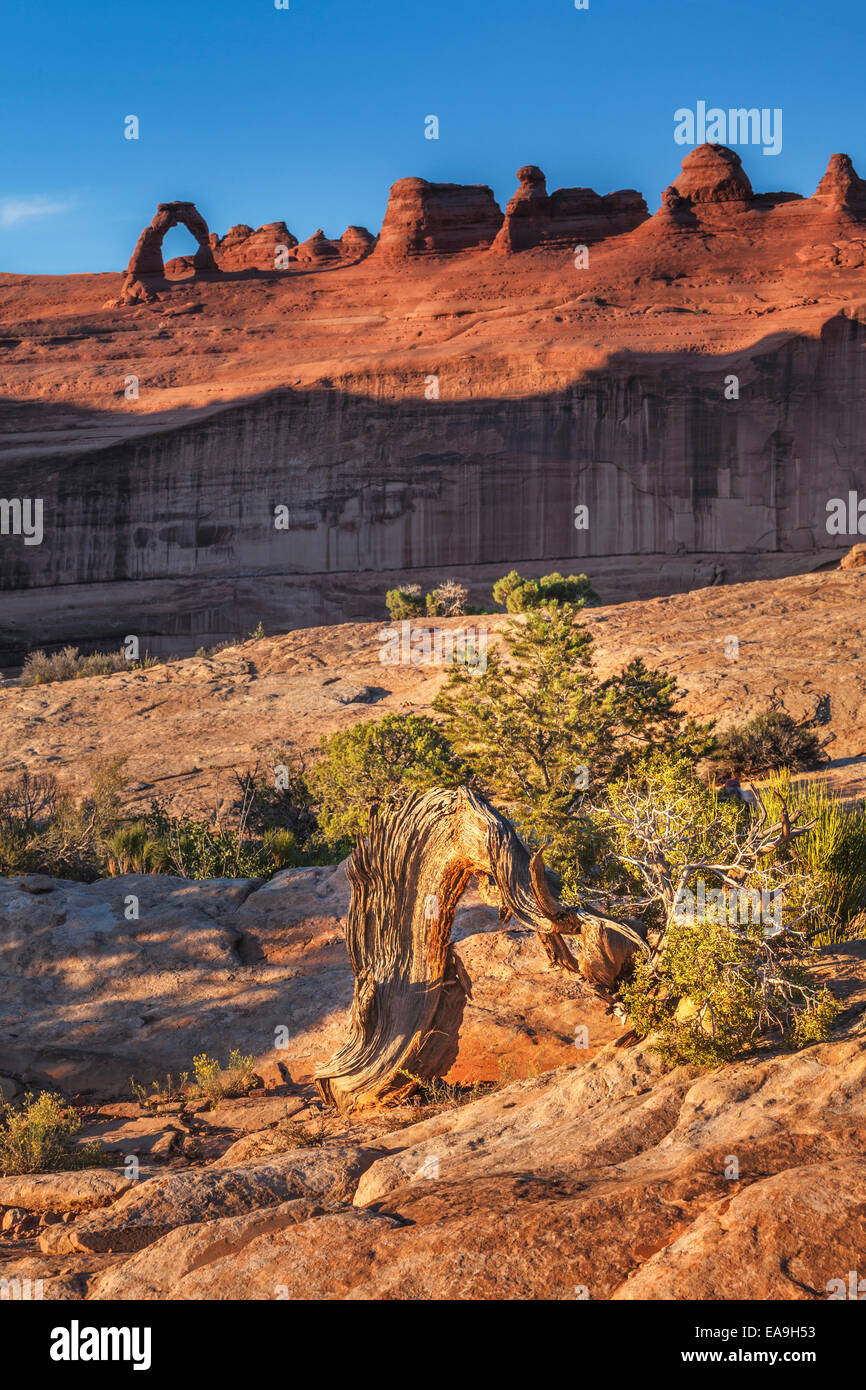 Delicate Arch, Arches National Park, Utah Stock Photo - Alamy