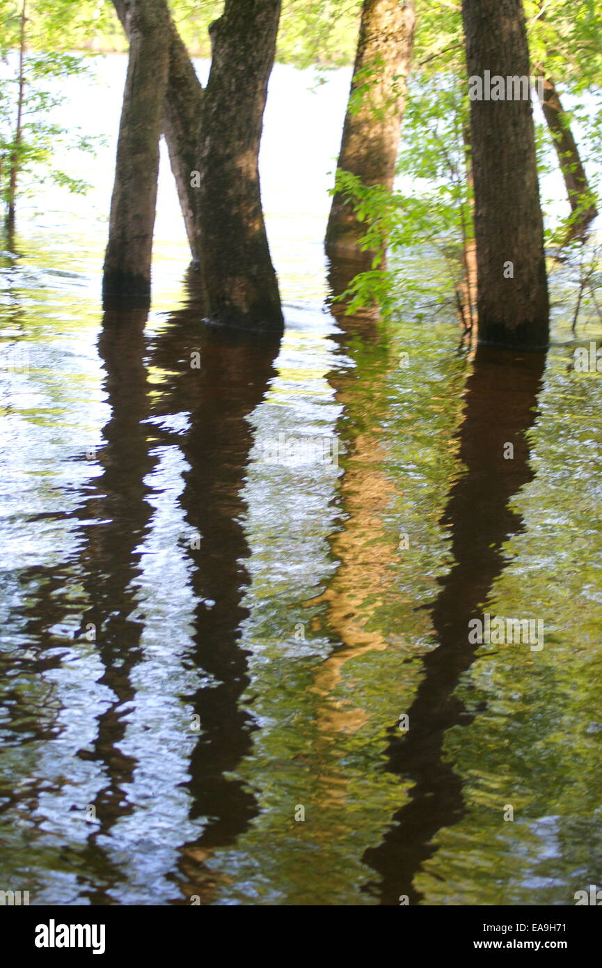SUNRISE RIVER SHADOWS Stock Photo - Alamy