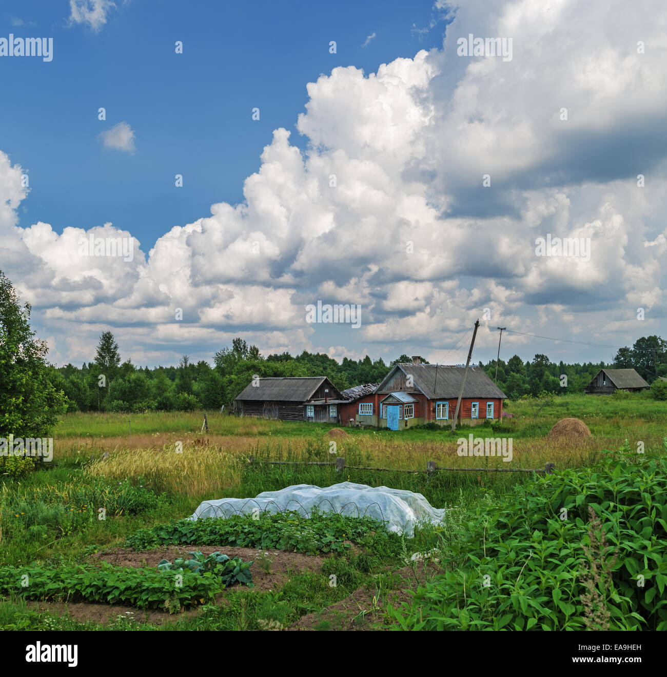 Houses and garden in the Belarus village Stock Photo - Alamy
