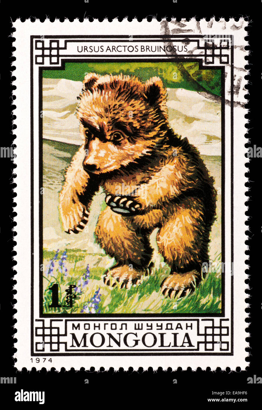 Postage stamp from Mongolia depicting a brown bear in the grass (Ursus ...