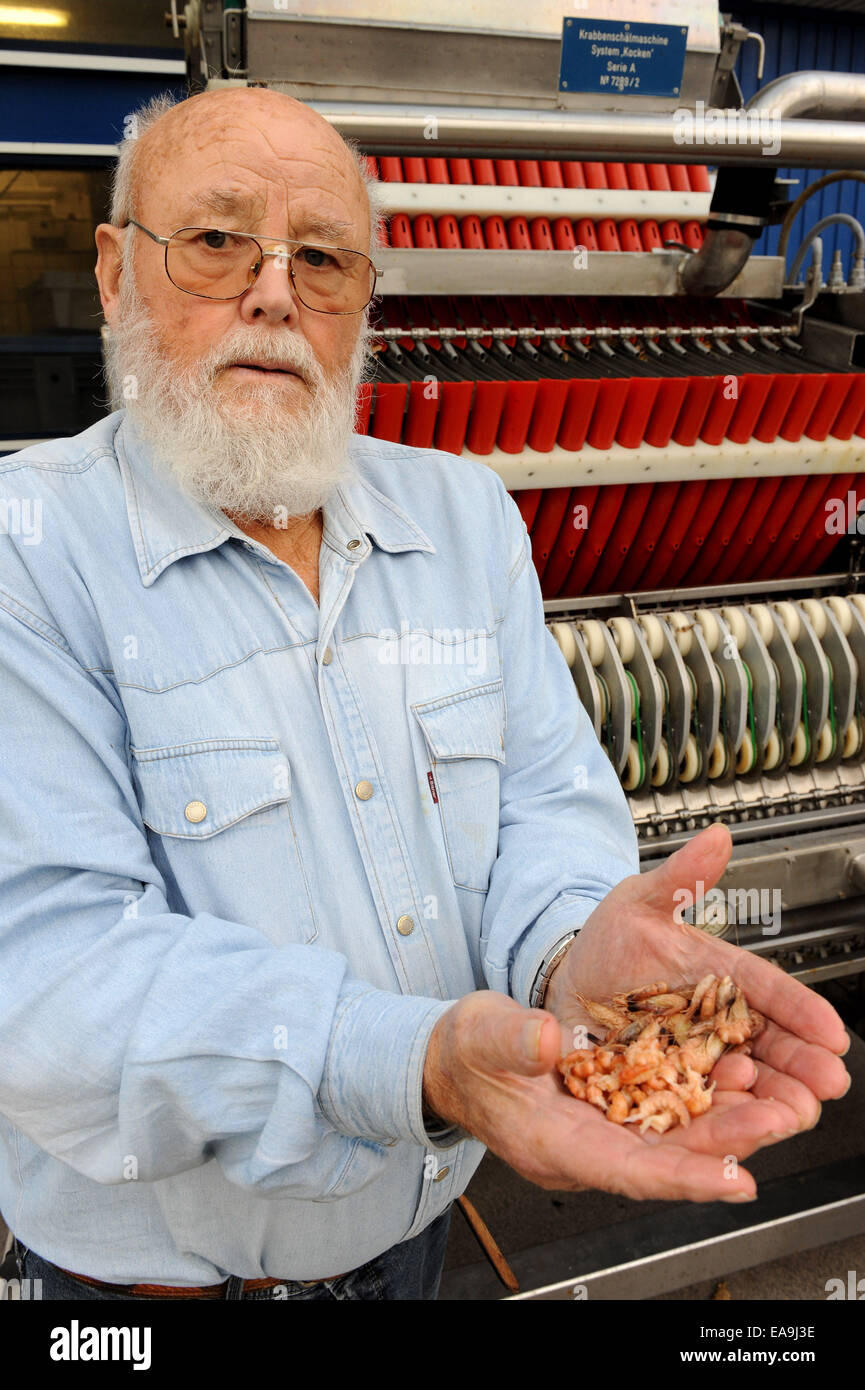 Spieka-Neufeld, Germany. 30th Oct, 2014. Prawn fisher Alwin Kocken ...