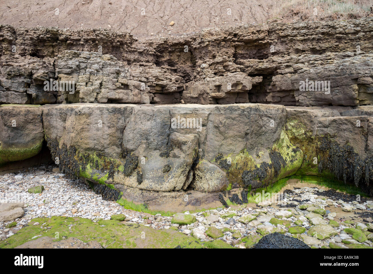 Filey Brigg geology, loose gravel and boulders on the South of the ...