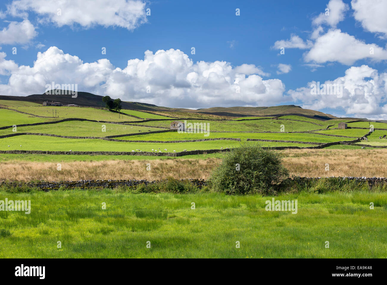 Burtersett high pasture hi-res stock photography and images - Alamy