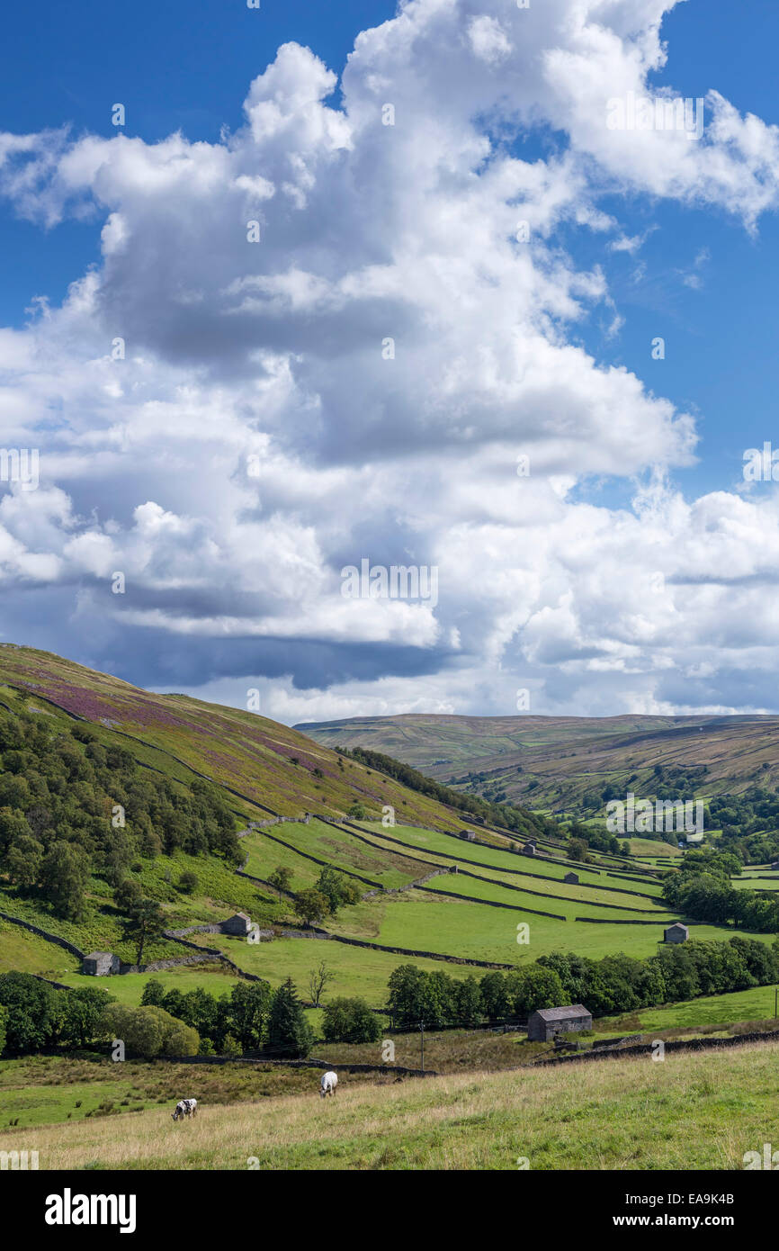 View swaledale north yorkshire dales hi-res stock photography and ...