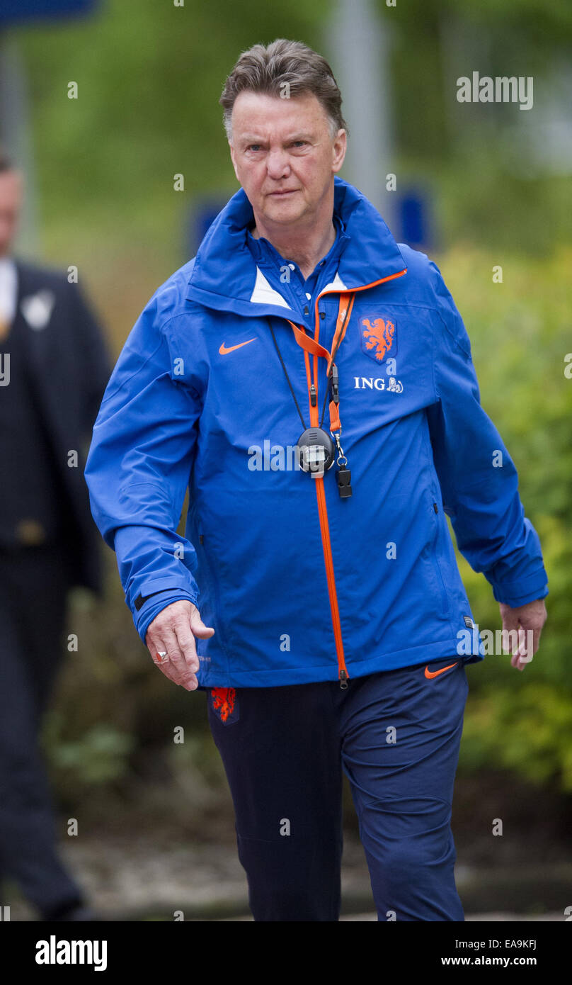 Dutch national football team head coach, and current bookmakers ...