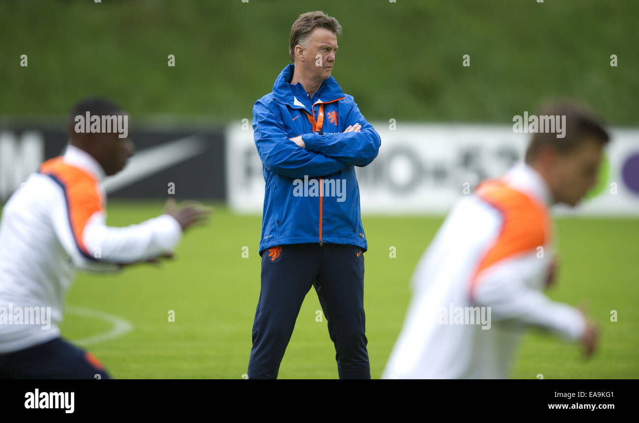Dutch national football team head coach, and current bookmakers ...
