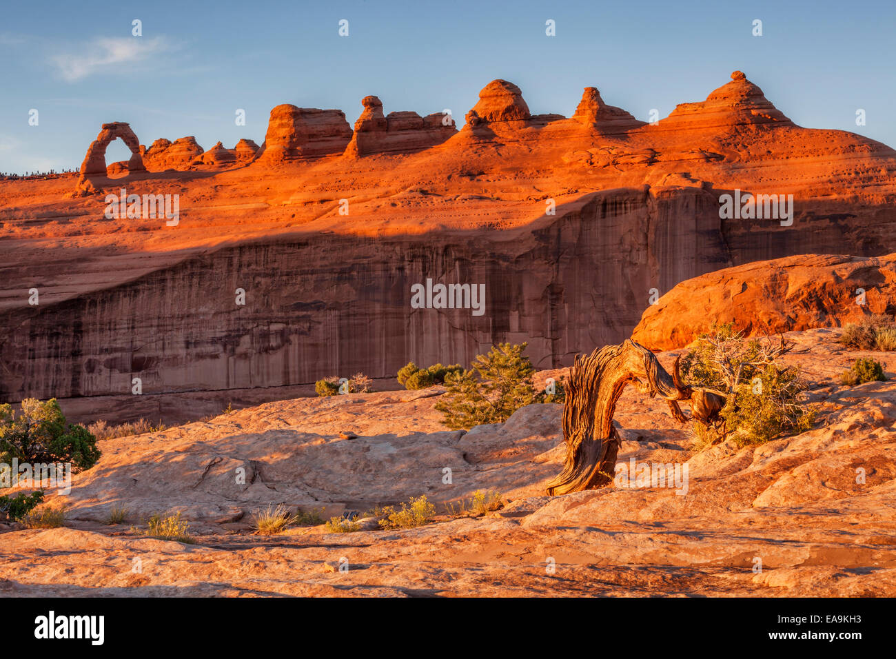 Delicate Arch, Arches National Park, Utah Stock Photo - Alamy