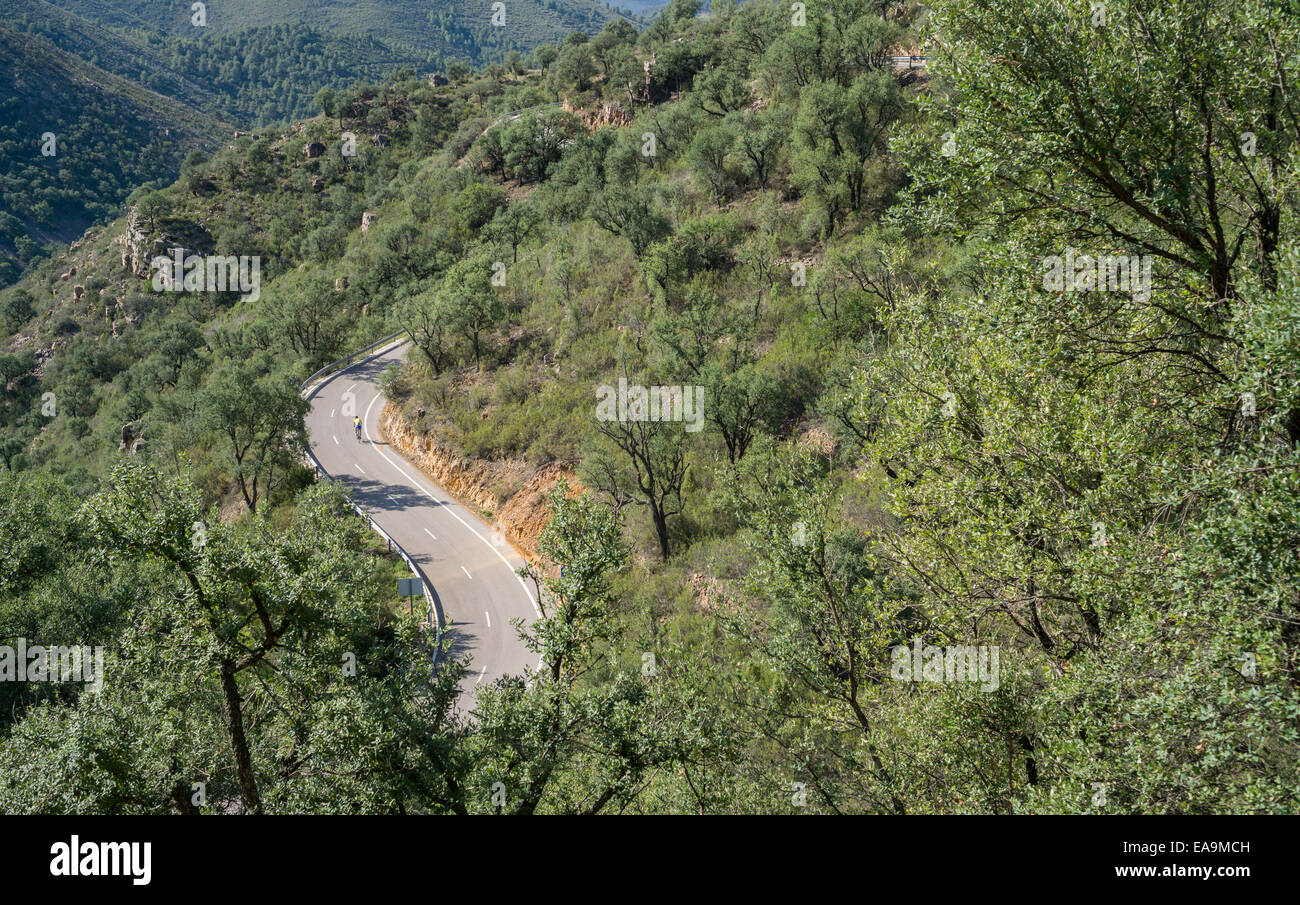 Isolated cyclist climbing mountain curved road Stock Photo - Alamy