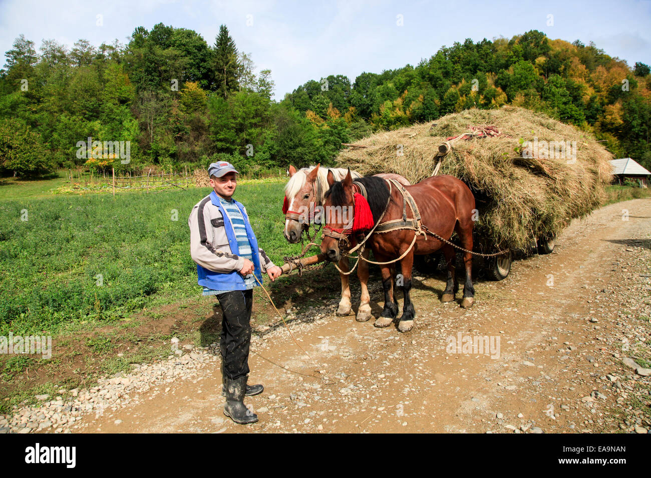 Horse drawn hay cart hi-res stock photography and images - Alamy