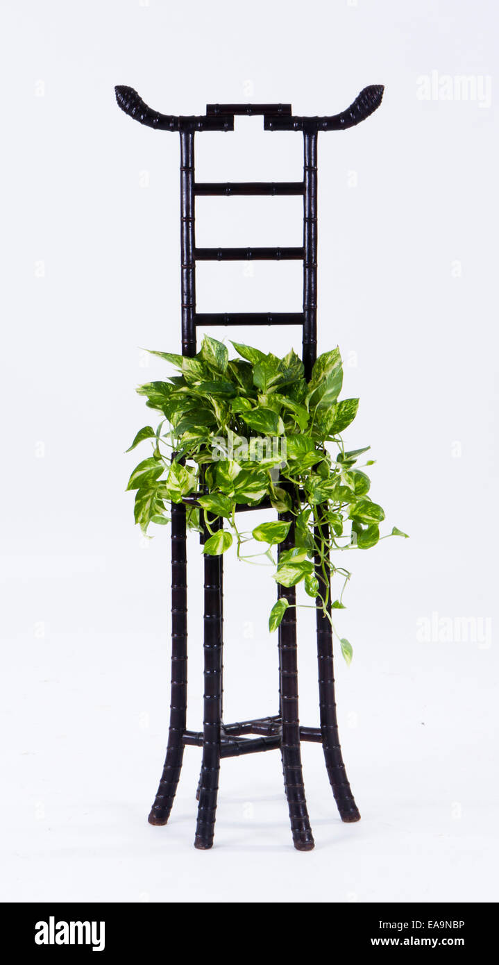 Potted traditional art hi-res stock photography and images - Alamy