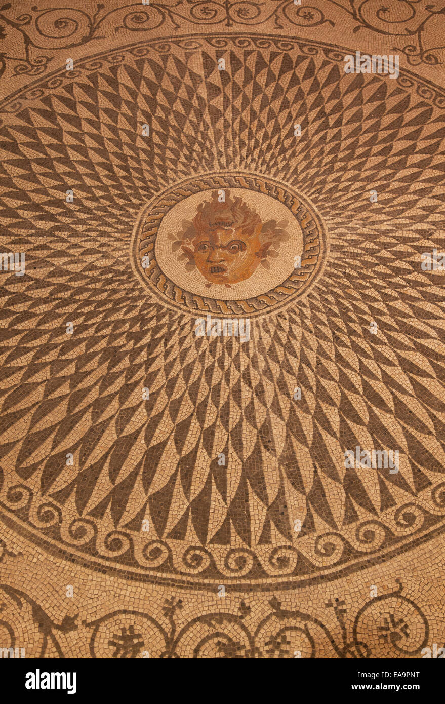 Roman floor mosaic hi-res stock photography and images - Alamy