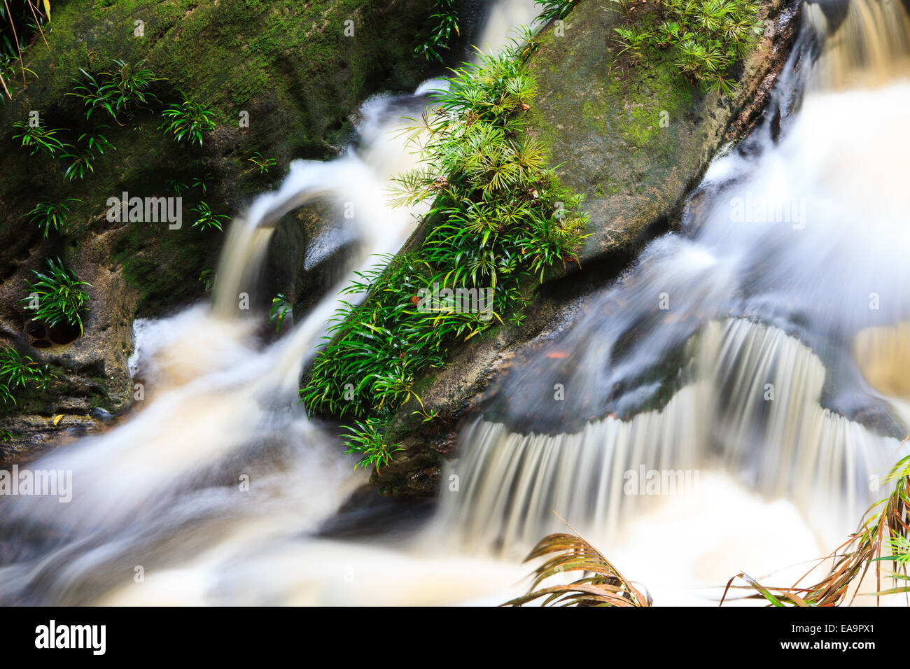 Small waterfall in jungle Stock Photo - Alamy