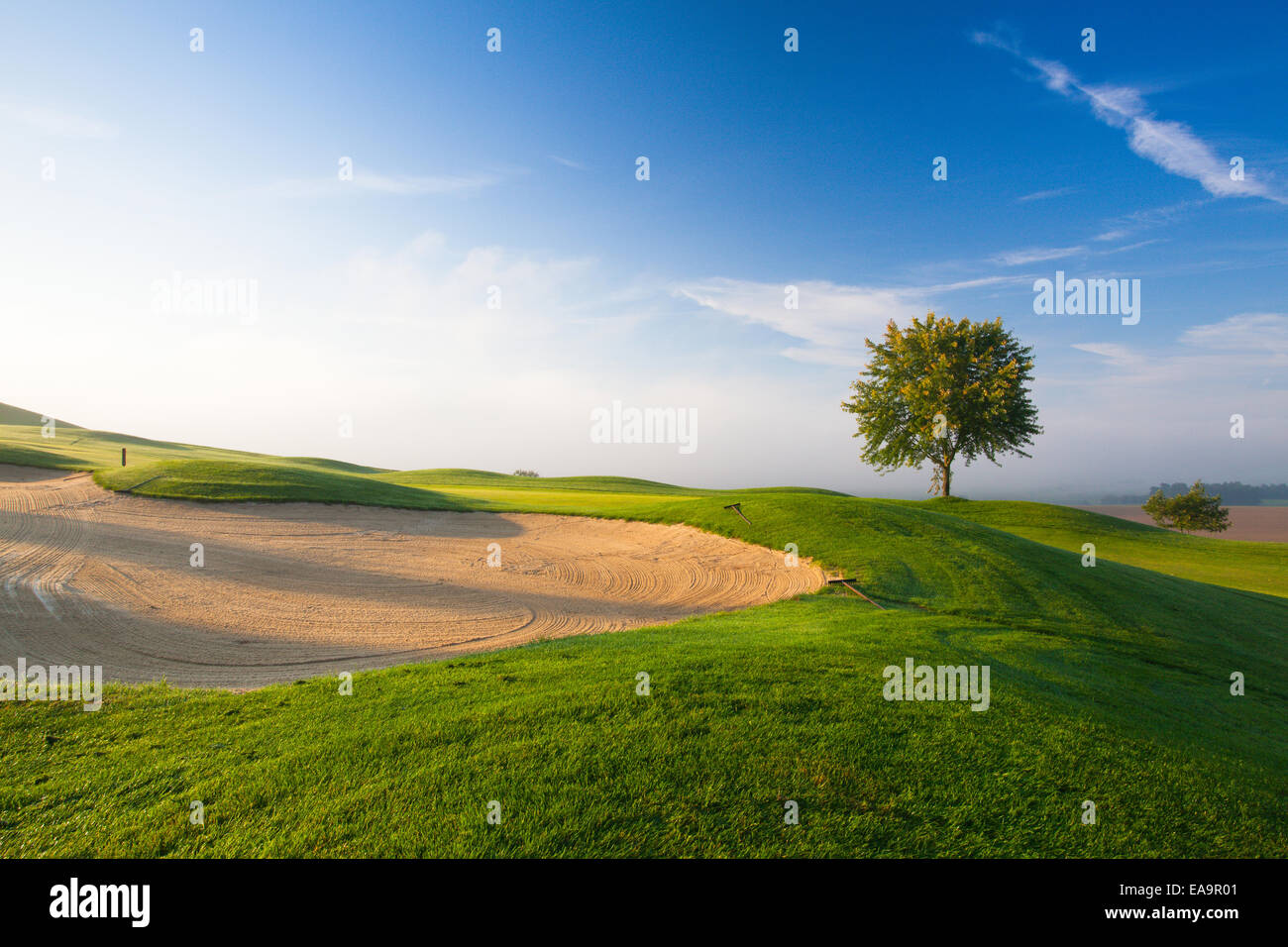 Misty morning on a empty golf course Stock Photo - Alamy