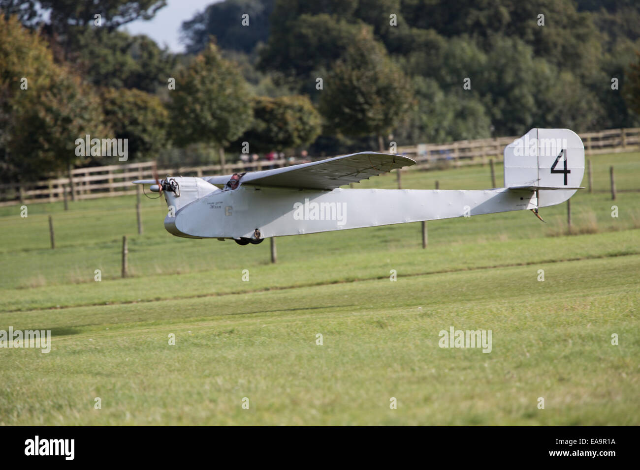 Wren Flying Stock Photos & Wren Flying Stock Images - Alamy