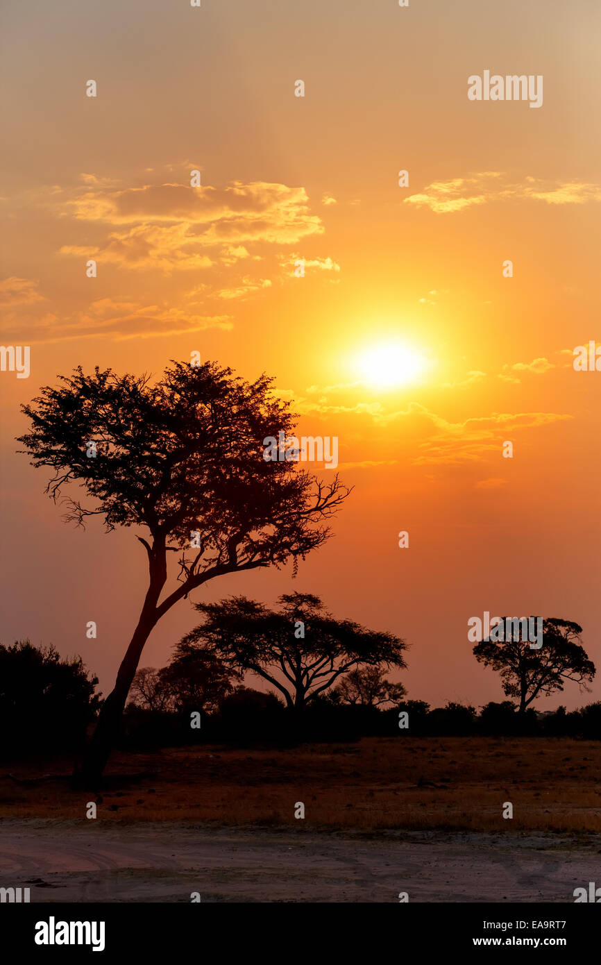 Sunset hwange national park hi-res stock photography and images - Alamy