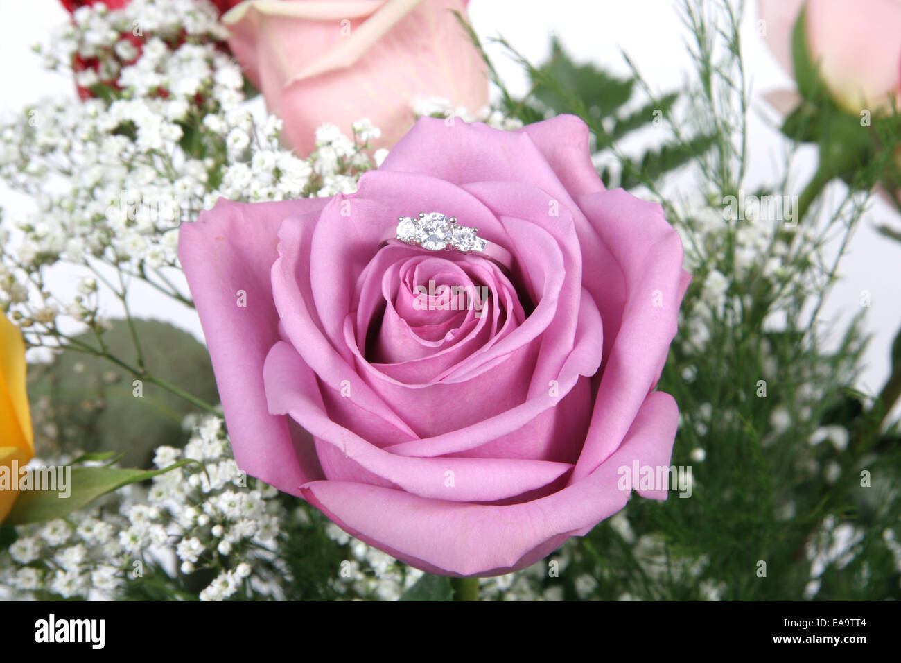 love joy hope fun happyness Stock Photo - Alamy