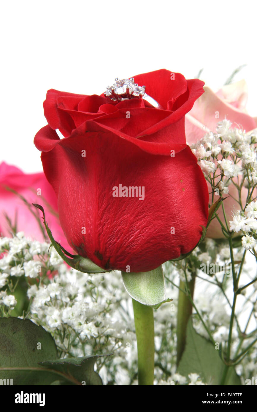 Wedding Ring in Rose, Will you marry me Stock Photo - Alamy