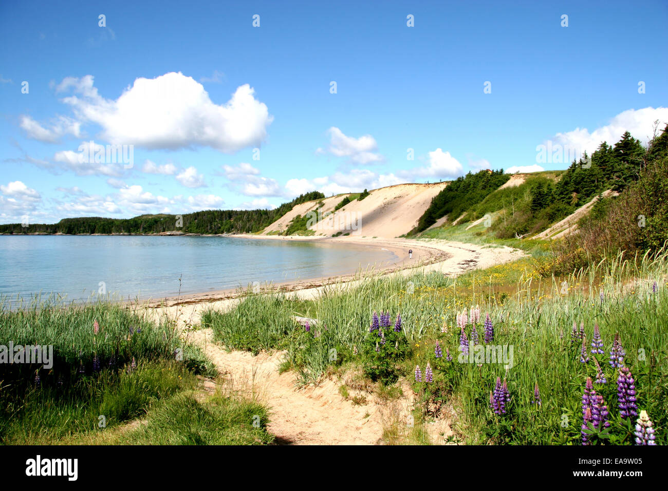 Sandy Cove Beach in rural Newfoundland Stock Photo - Alamy