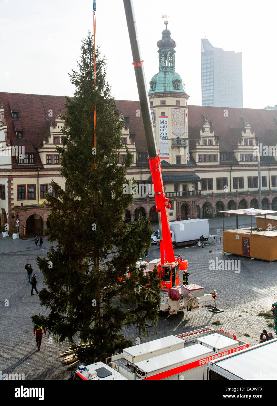 30 meter tree hi-res stock photography and images - Alamy