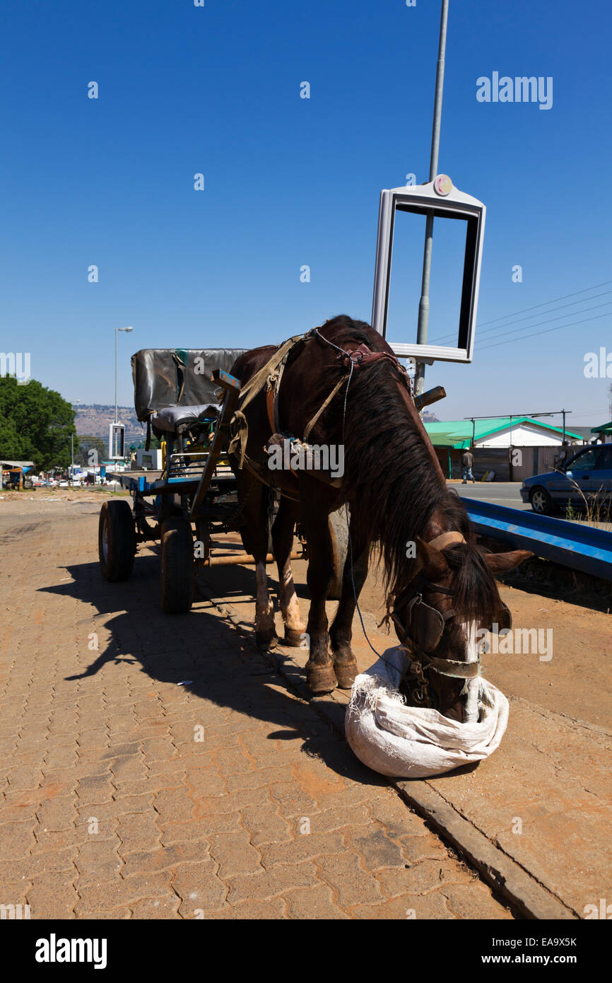 Lesotho. A horse and cart are important forms of transport in rural ...