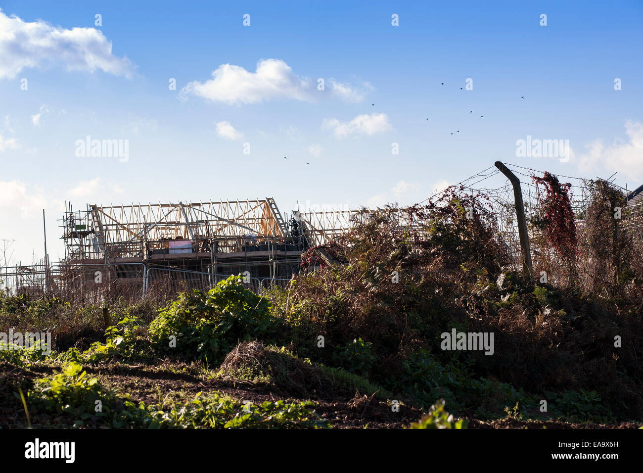 Modern housing england street community hi-res stock photography and ...