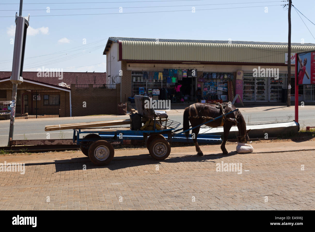Lesotho. A horse and cart are important forms of transport in rural ...