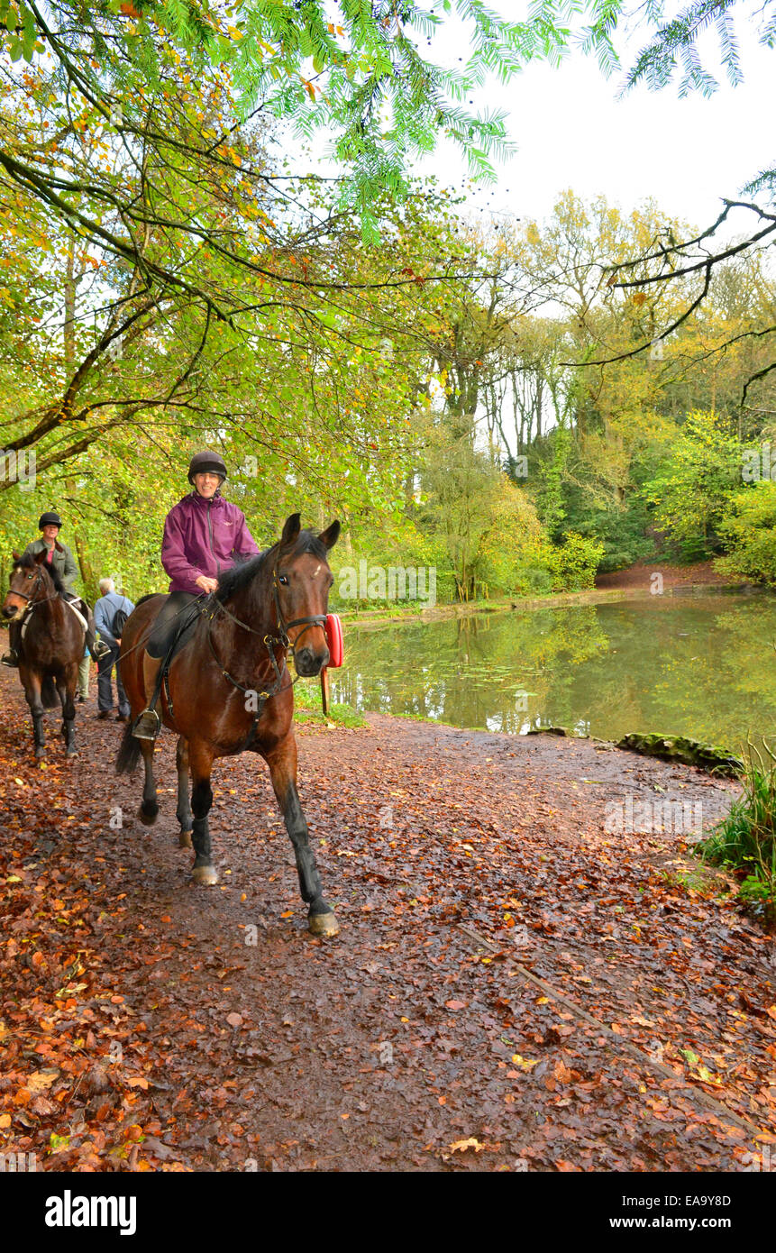 Abbots pool hi-res stock photography and images - Alamy