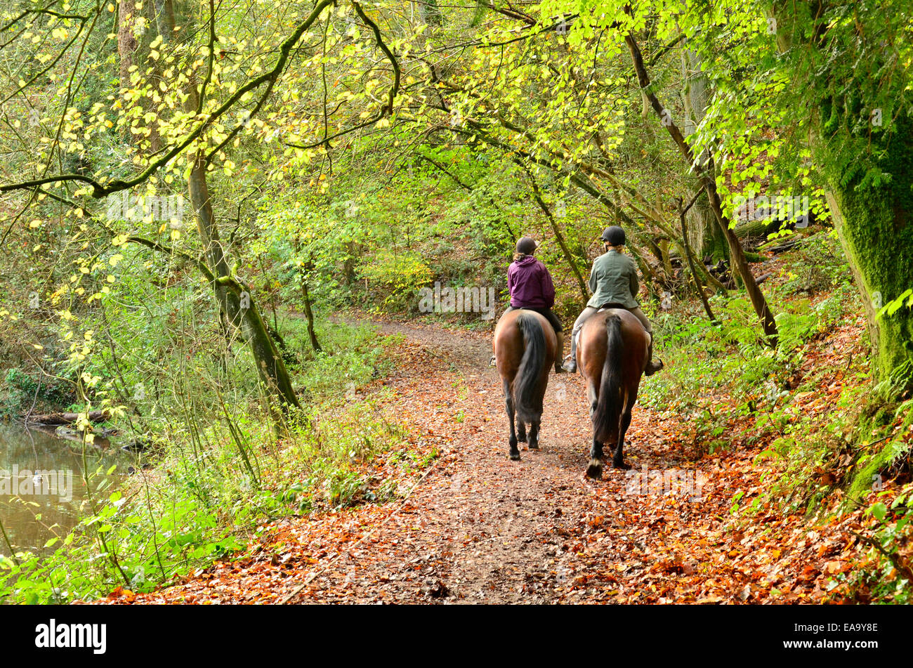Long ashton near bristol hi-res stock photography and images - Alamy