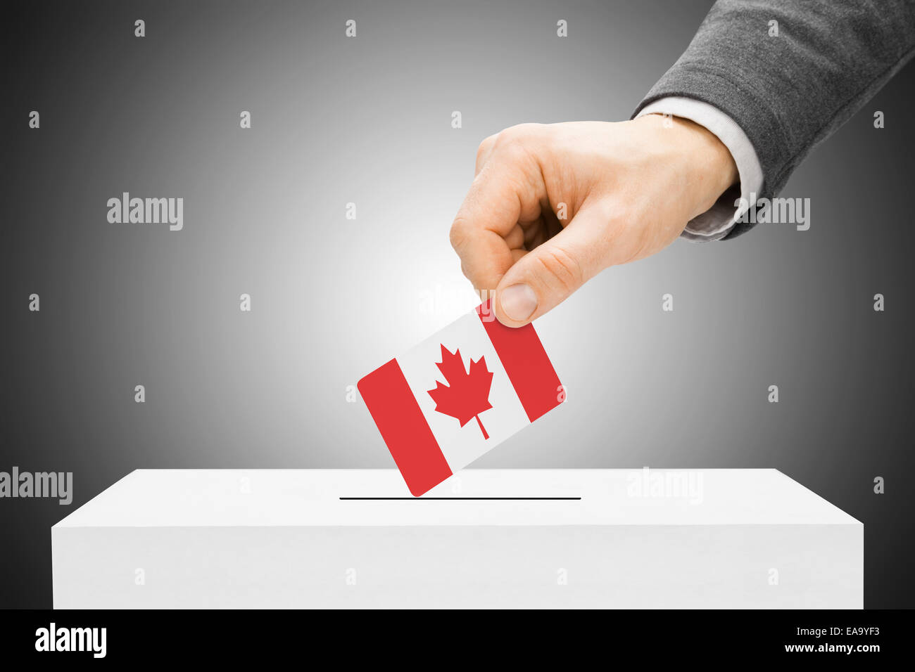 Voting concept - Male inserting flag into ballot box - Canada Stock ...