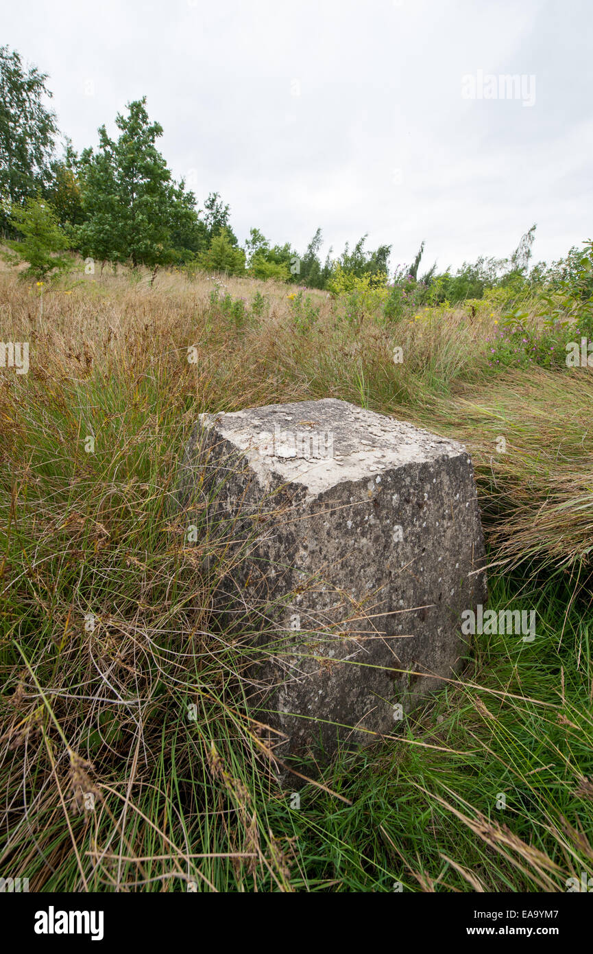 Concrete South Yorkshire pit head marker standing among grass ...
