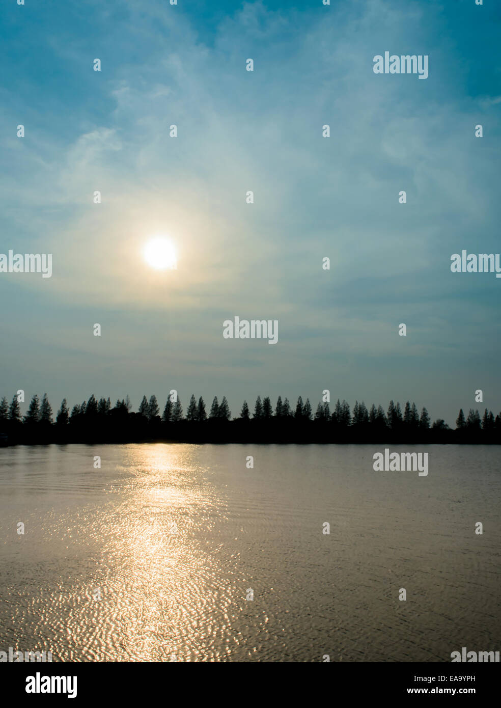 Pine tree silhouette hi-res stock photography and images - Alamy