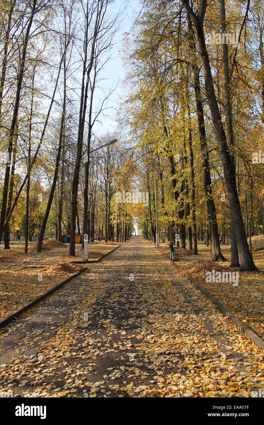 stone path through the old calm city park Stock Photo - Alamy