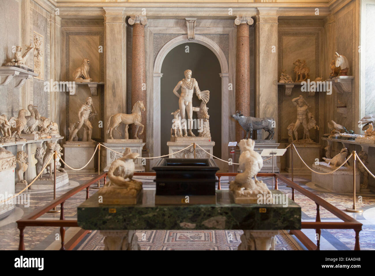Hall of the Animals inside Vatican Museum (UNESCO World Heritage Site ...