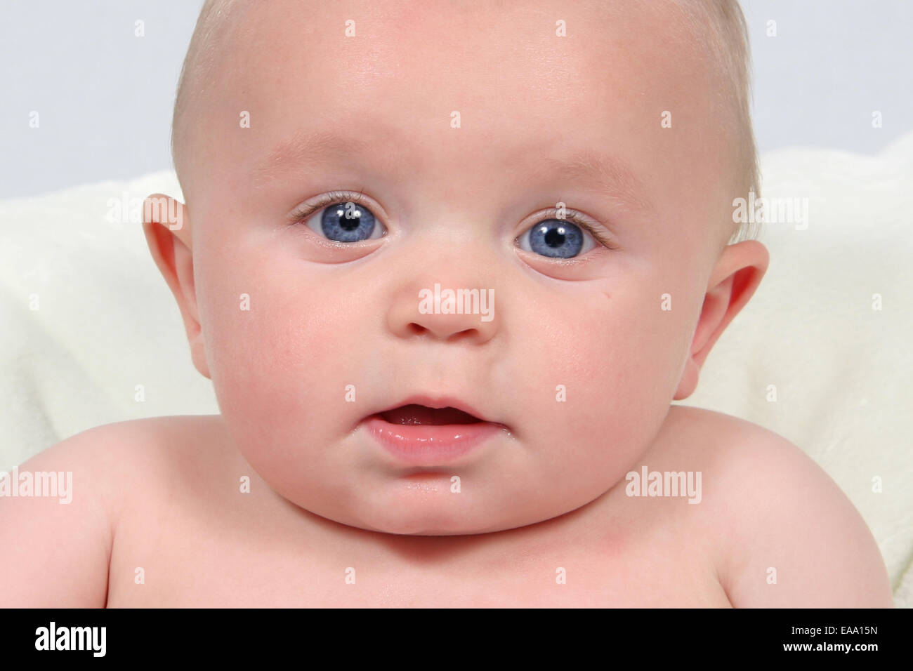 Little Cutie taken closeup Stock Photo - Alamy
