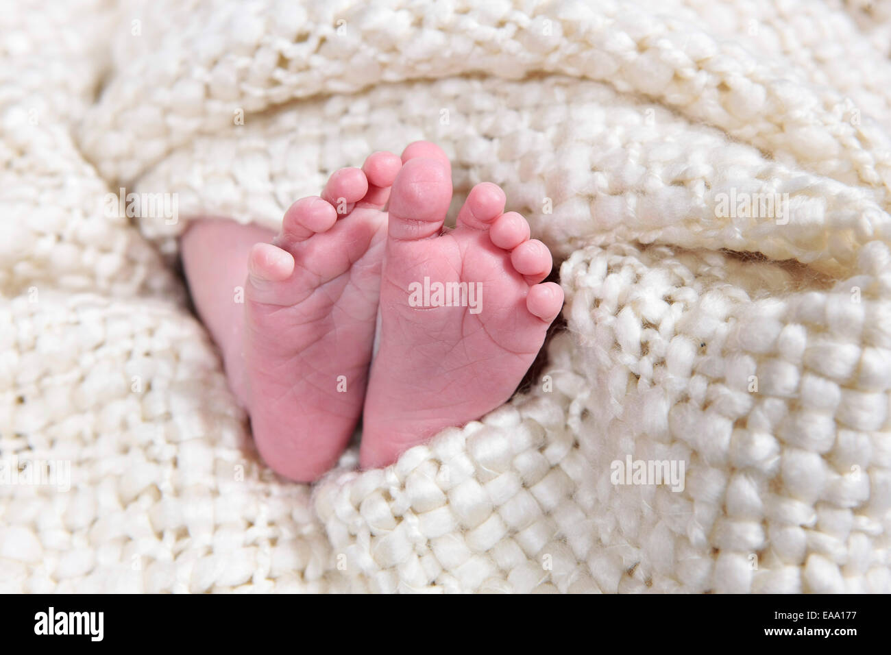 nice photo shoot Stock Photo - Alamy